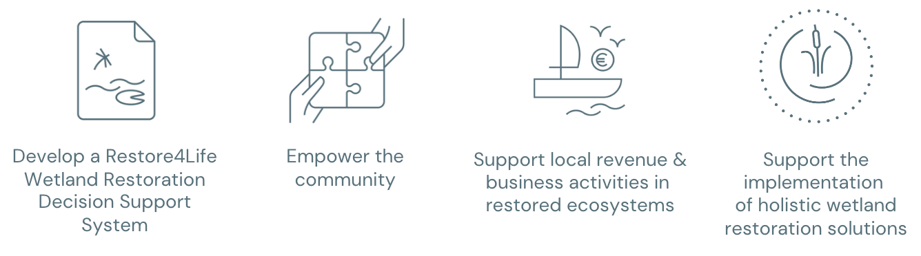 Restoring Europe’s Wetlands: A new Horizon Europe initiative for ...